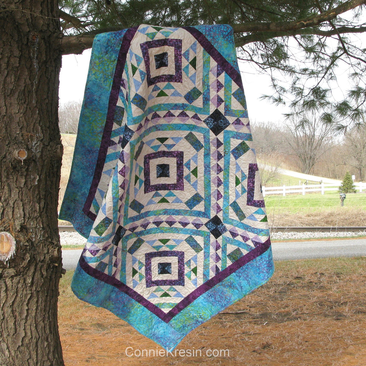 Affinity Quilt PDF – Connie Kresin Campbell